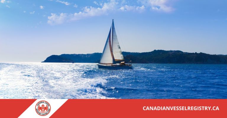 What Are the Required Licence Number Display Guidelines? Here They Are ...